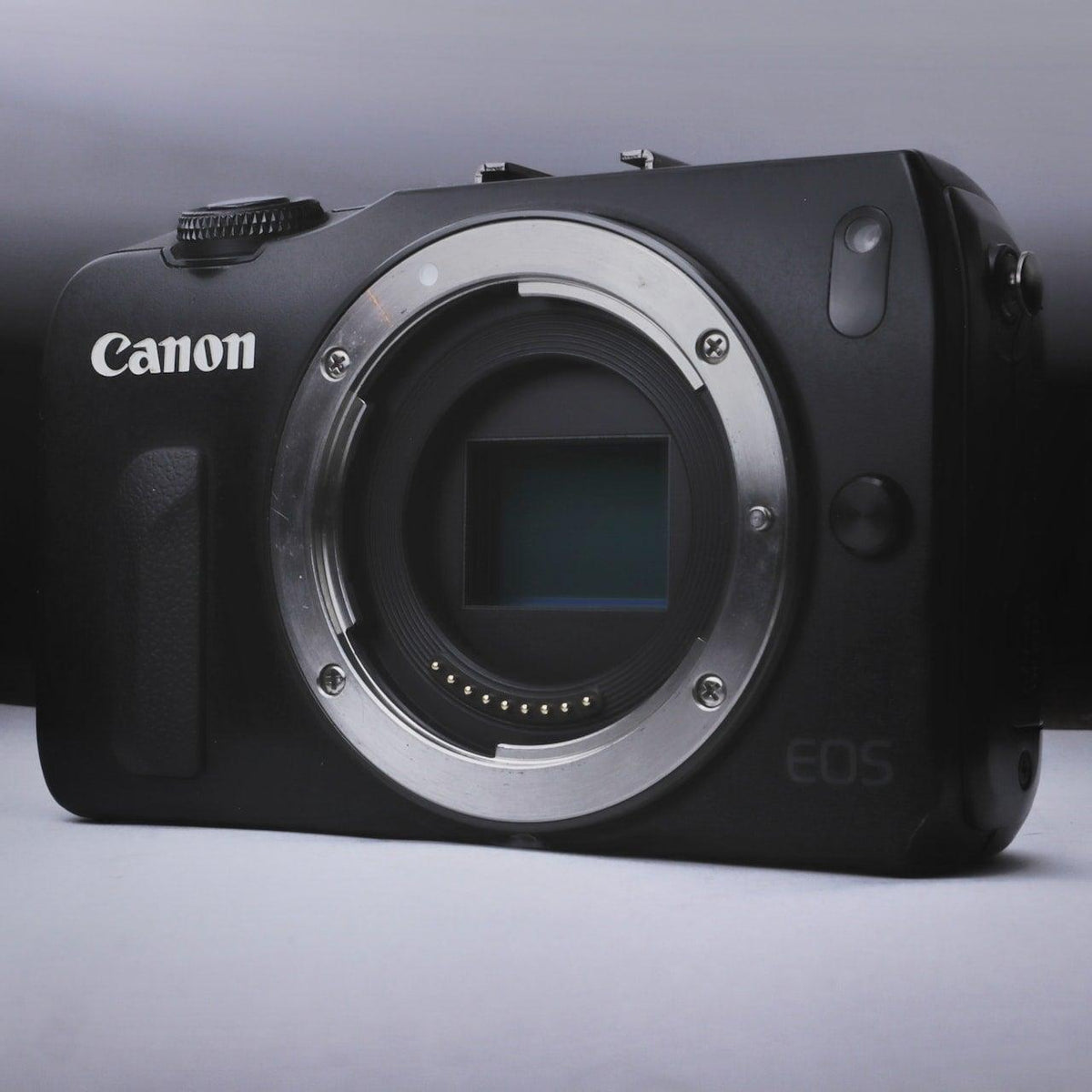 Canon might release an affordable APS-C mirrorless soon | ProMediaGear